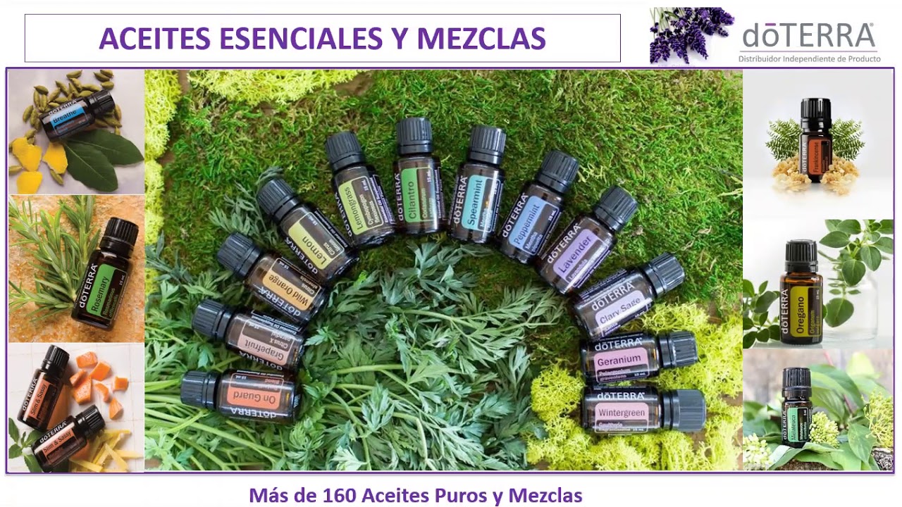 CONOCE doTERRA EN COLOMBIA - YouTube