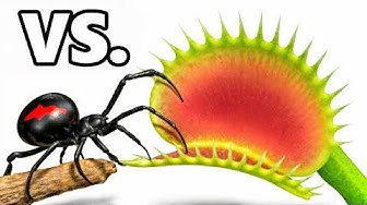 How To Fly In Garry's Mod | Gmod NoClip Tutorial & Bind Guide - YouTube