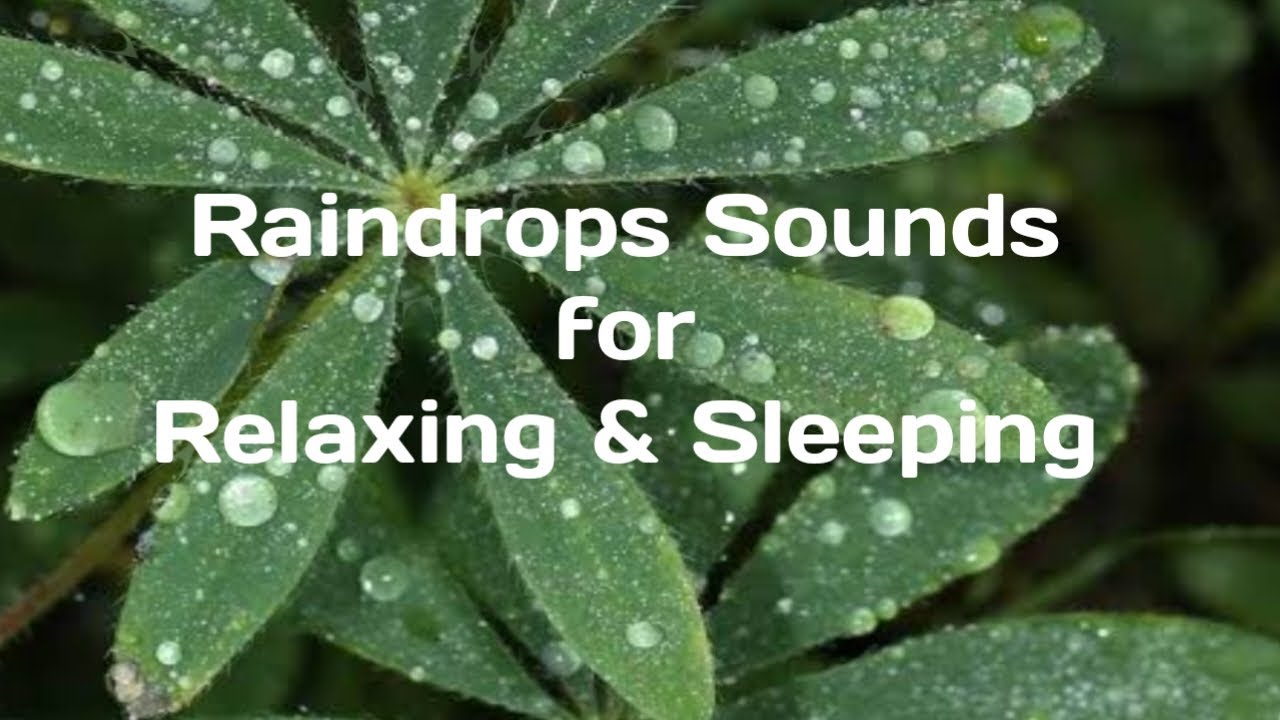 Raindrops Sounds for relaxing and sleeping. - YouTube