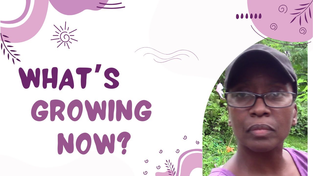 What's Growing Now? - YouTube