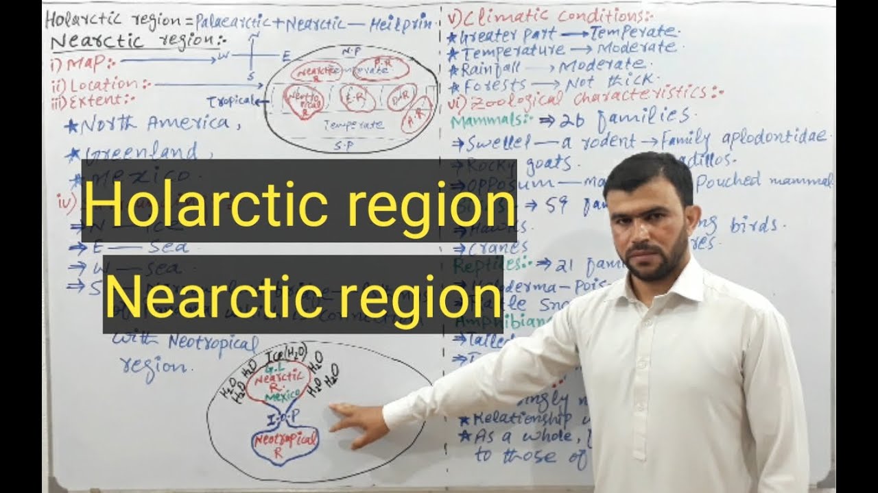 Holarctic | Nearctic region | Zoogeographical realms | Sabar khan ...