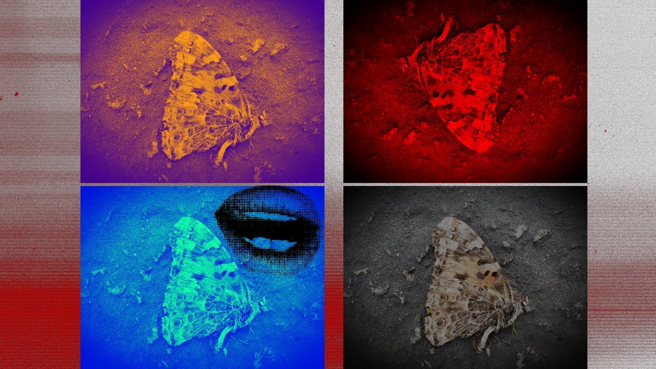 MOVING ON - 4 Stages LP - YouTube