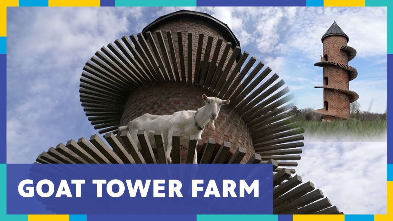 Exploring the Johnson's Goat Tower Farm in Windsor, Illinois | Living ...