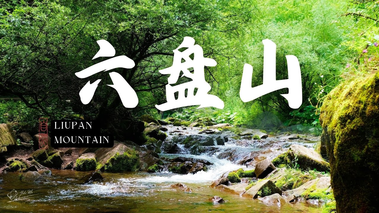 「Real Travel China」131「Wetland forest in the desert」Liupan Mountain「YH ...
