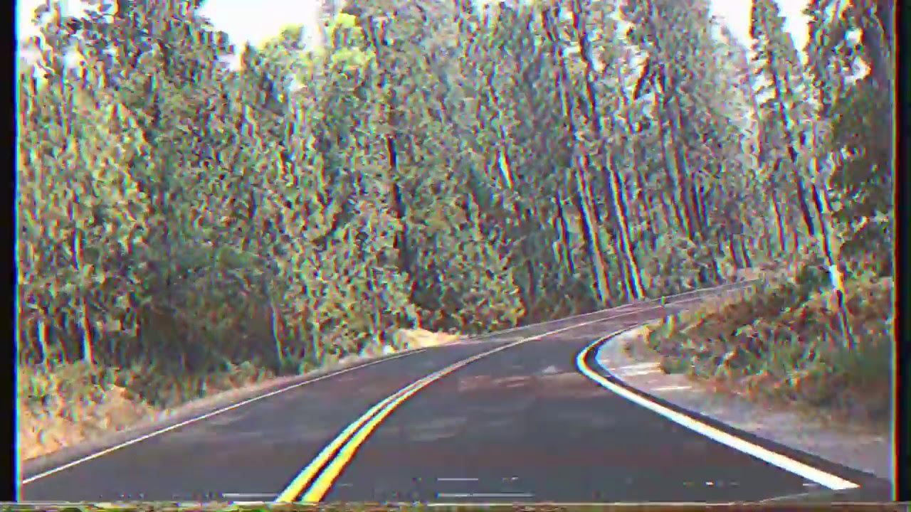Driving Through Forrest VHS Footage Retro 90’s Tapes - YouTube