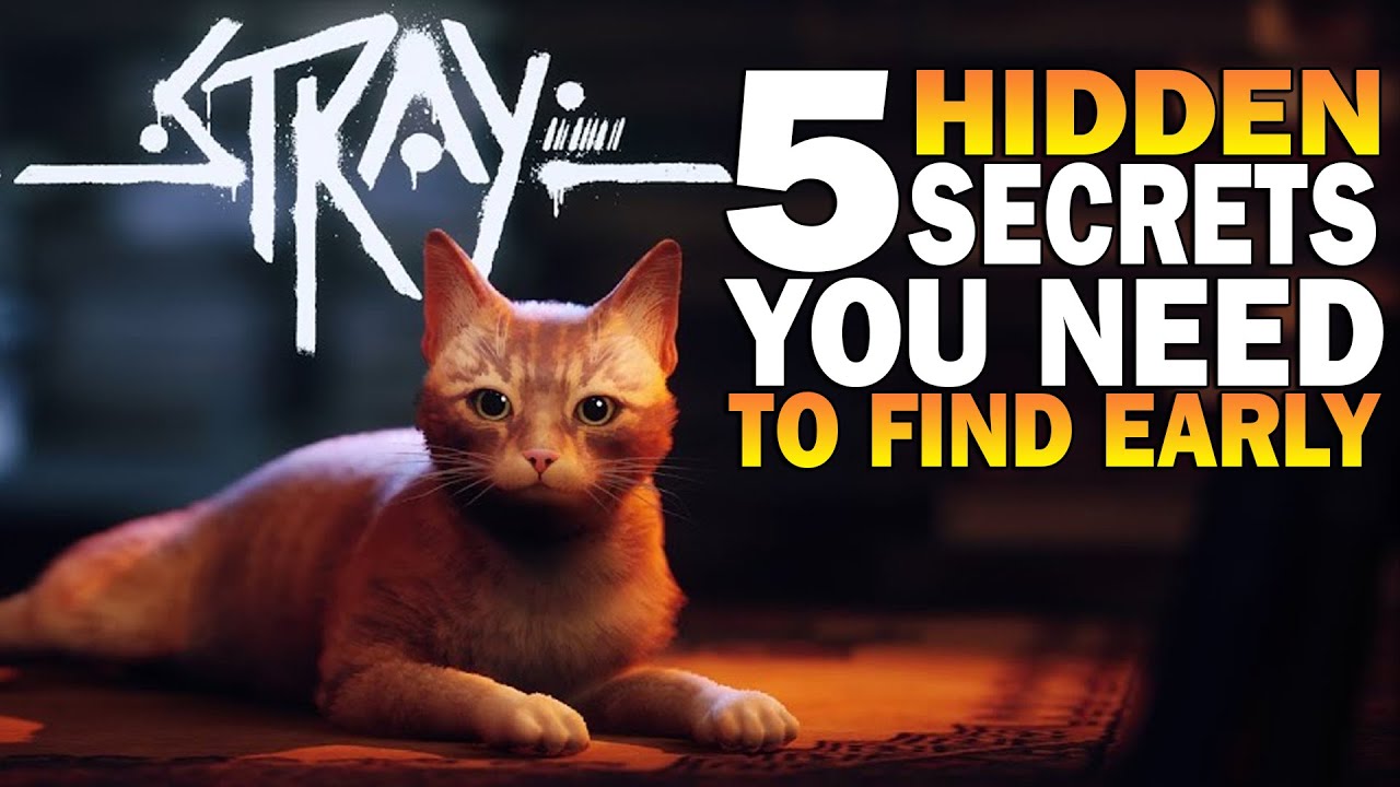 5 SECRETS You NEED To Find EARLY In Stray! - YouTube