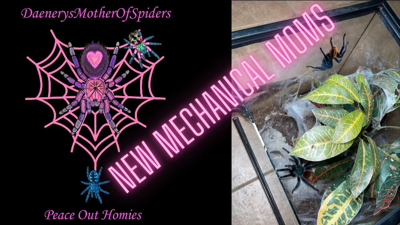 Trying out our new mechanical moms - YouTube