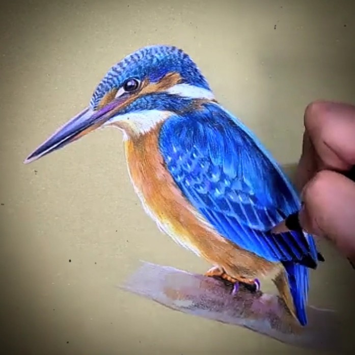 How To Draw KingFisher #shorts #art - YouTube