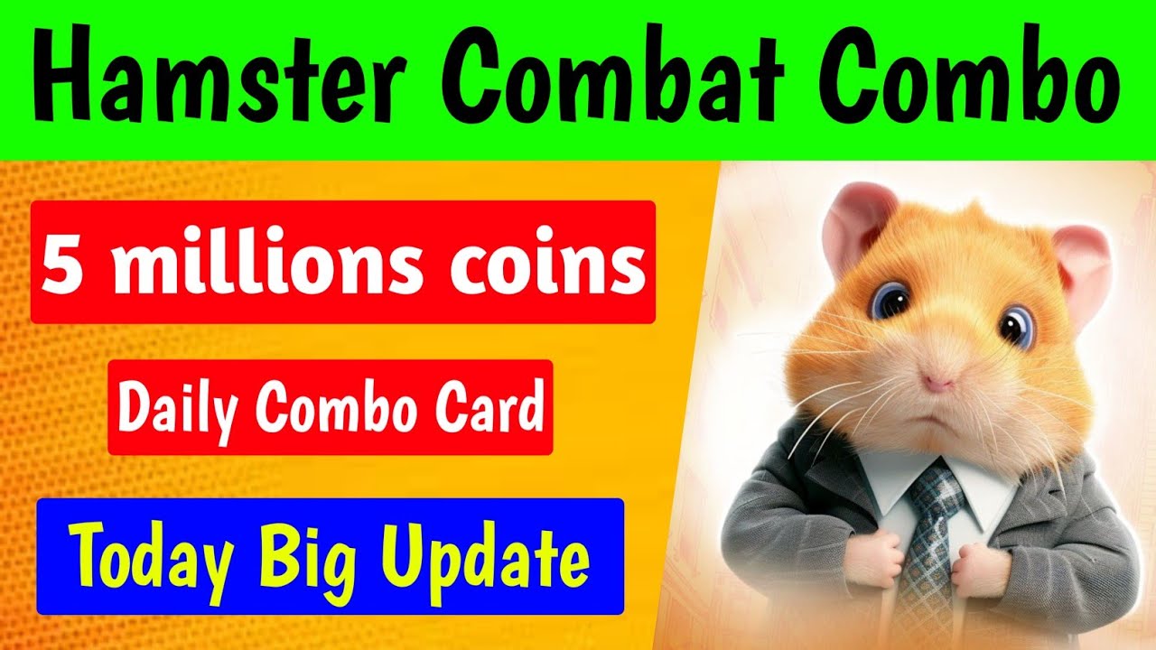 hamster combat daily card || hamster combat update today | hamster ...