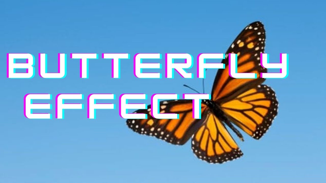THE BUTTERFLY EFFECT: Spoken Word Poetry - YouTube