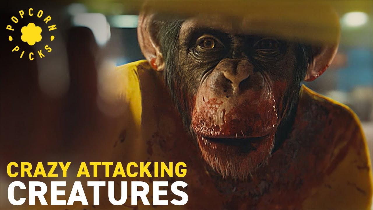 Crazy Creature Attacks - YouTube