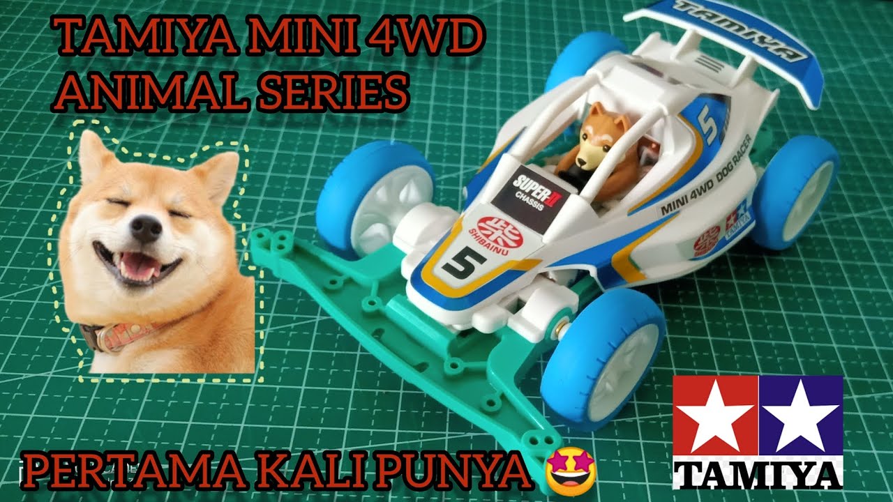 TAMIYA MINI 4WD ANIMAL SERIES SHIBAINU (NGE-RAKIT) !!! #mini4wd #tamiya ...