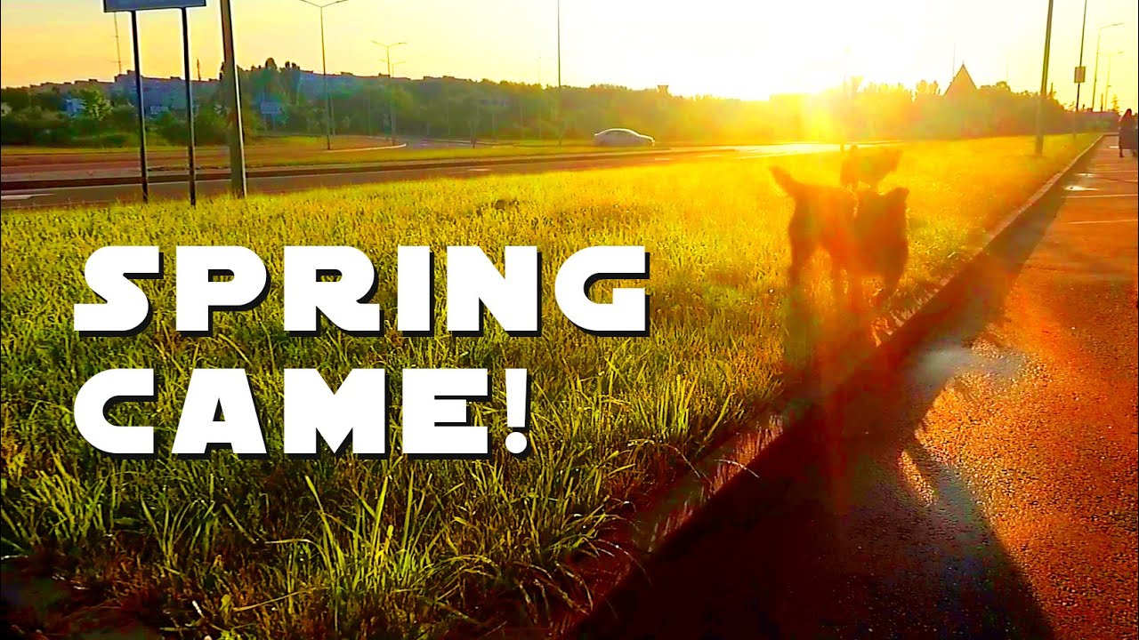 SPRING CAME! - YouTube