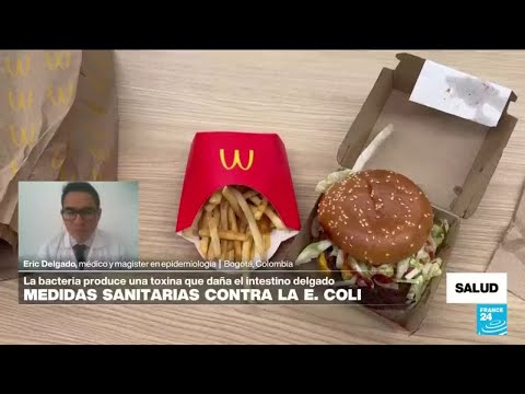 ¿En qué consiste la bacteria E. Coli y qué puede hacerle al organismo humano?