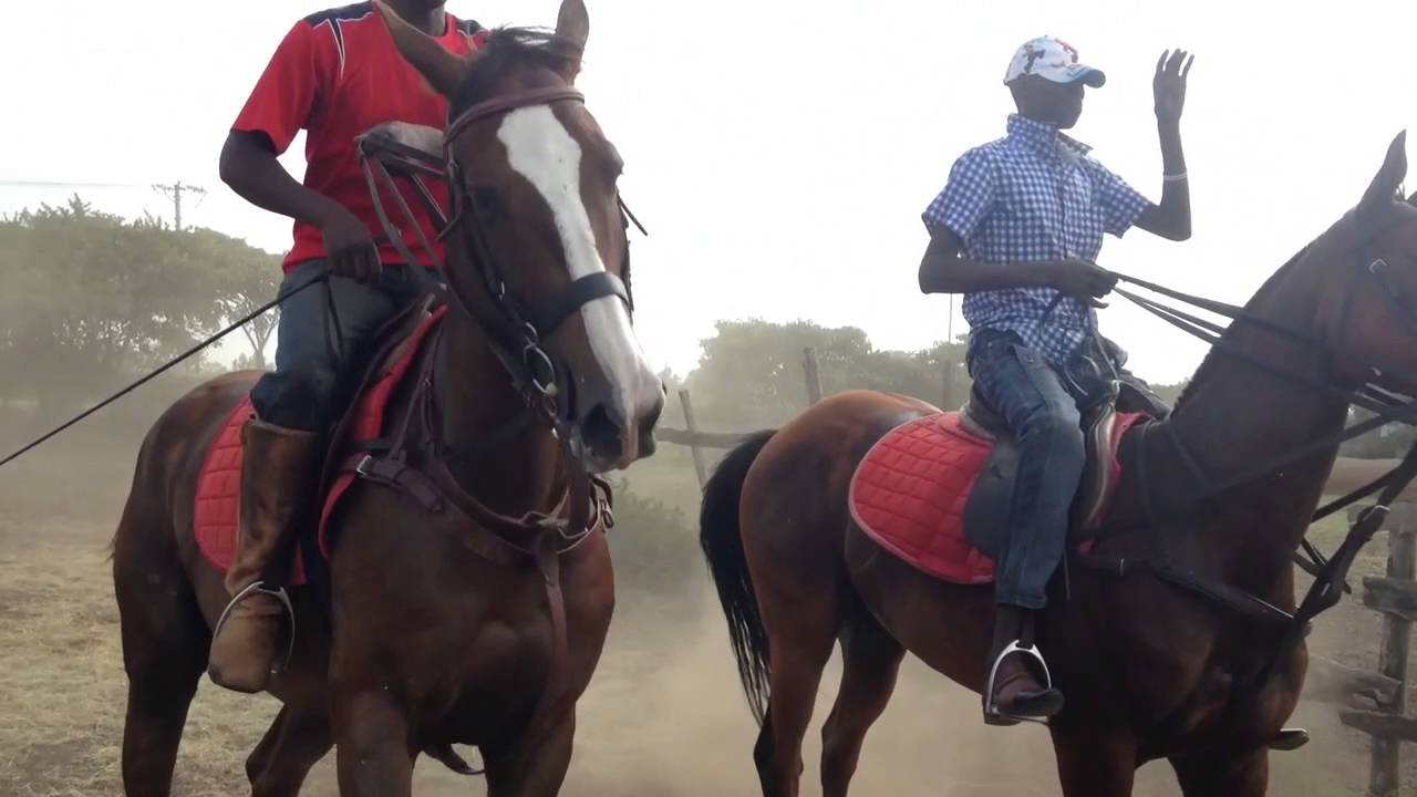 kenya polo club - YouTube