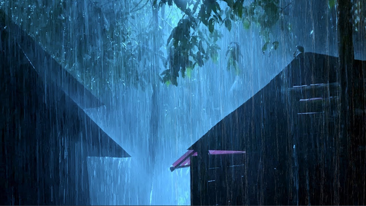 Tropical Rainstorm Sounds for Sleeping Rain Drops Sound for Relaxation ...