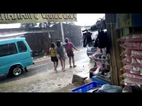 Cewek toraja berkelahi