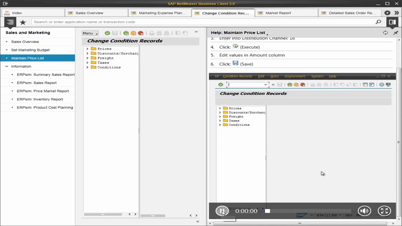 NetWeaver Business Client Navigation SAP - YouTube