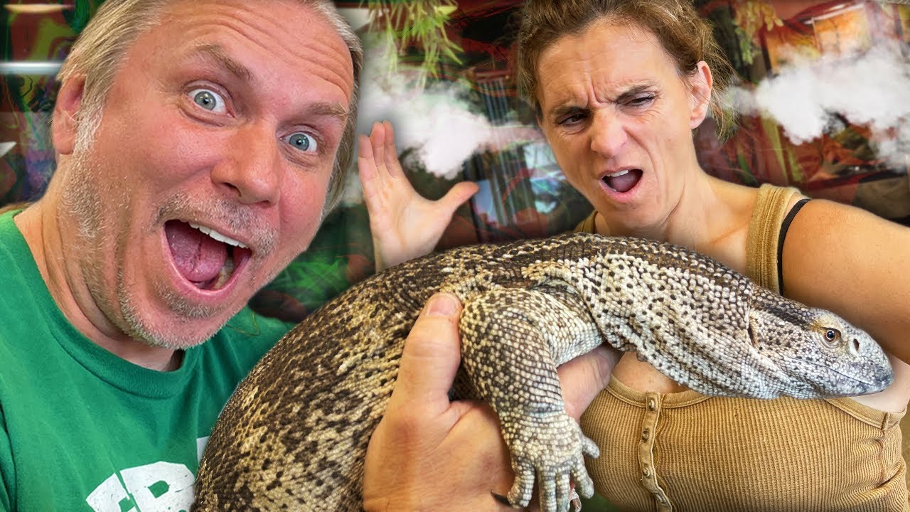 SURPRISING HER WITH A NEW GIANT LIZARD FOR THE REPTILE ZOO!! | BRIAN ...