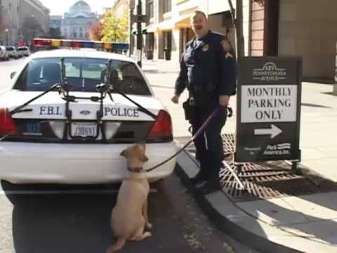 FBI Working Dogs - YouTube