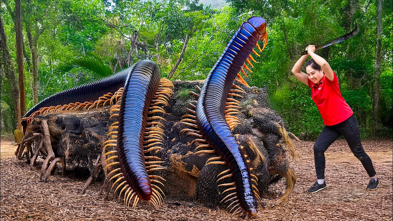 Harvesting Giant Thousand Legged Beast & Go to Market Sell | Recipe ...