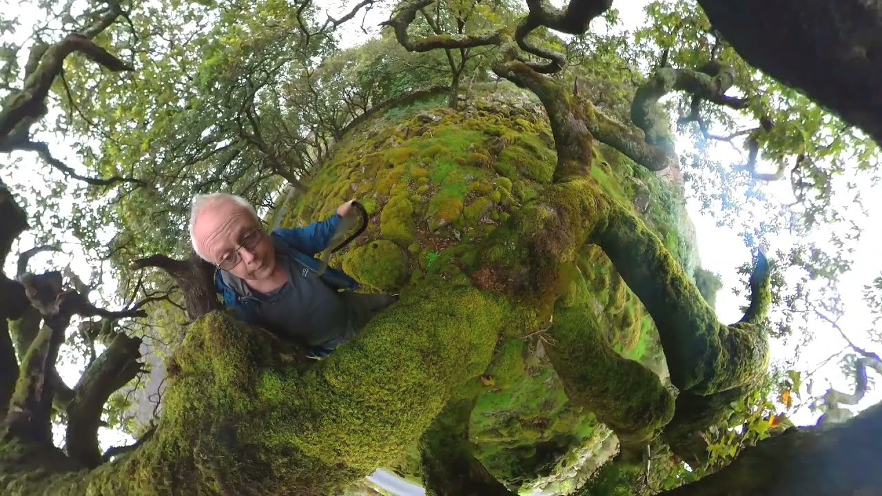 The Rhinogs - the mountains behind Harlech, North Wales - YouTube