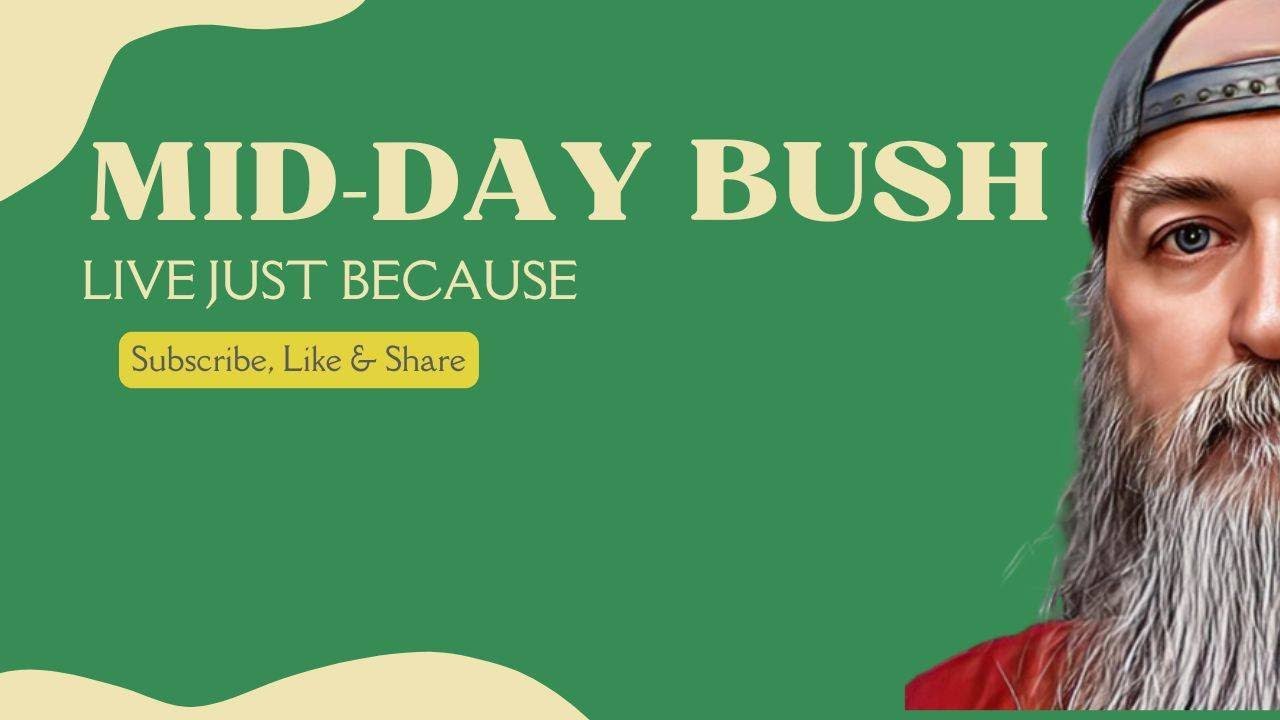 MID-DAY BUSH - Live - YouTube