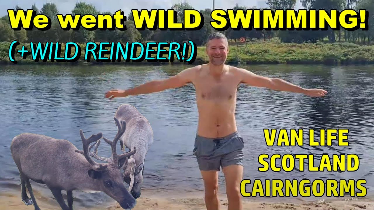 WILD SWIMMING & WILD REINDEER! - VANLIFE in CAIRNGORMS, SCOTLAND - YouTube