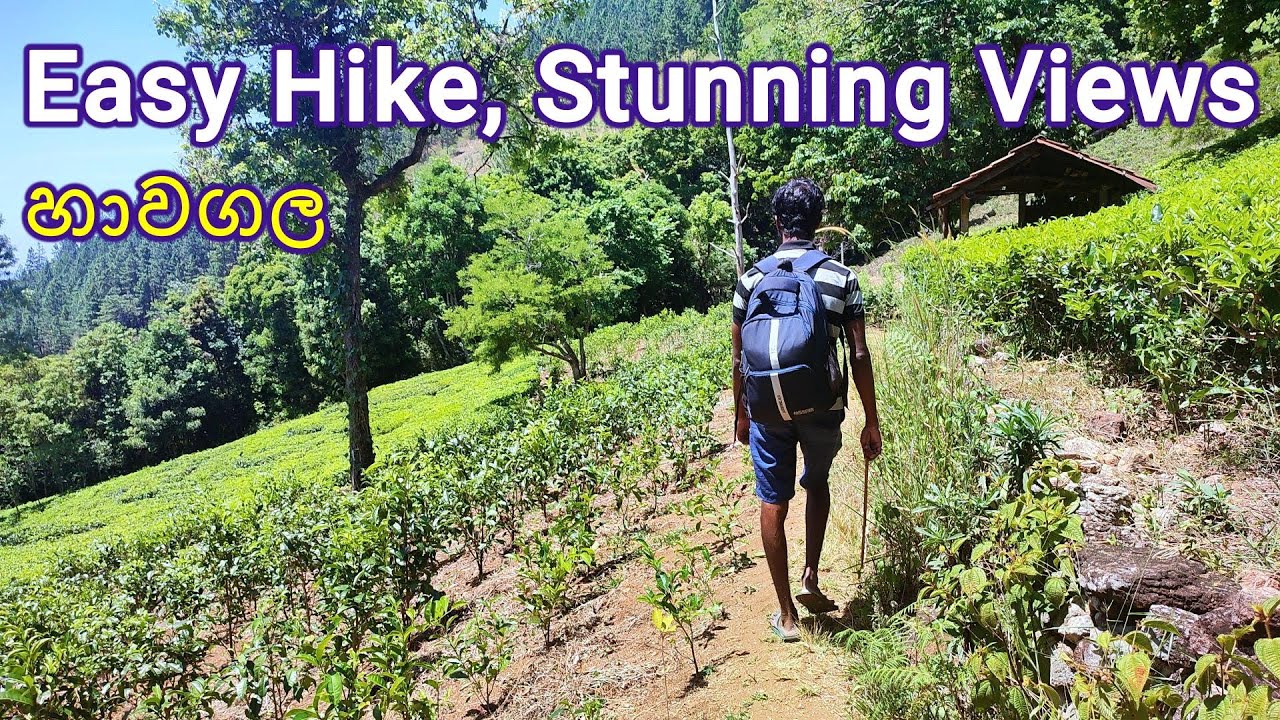 Hawagala Mountain | A Beautiful and Easy Hike in Belihuloya - YouTube