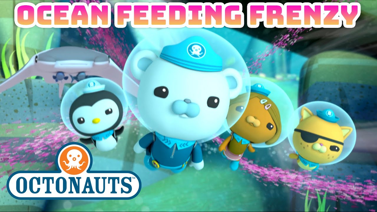 @Octonauts - Ocean Feeding Frenzy 🐚🐠 | Compilation | @Kidzuko - YouTube
