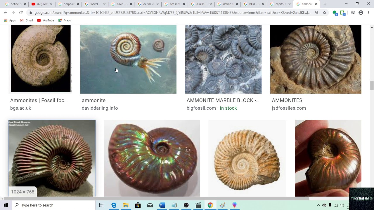 Know the truth: umbilical omphalos pt 2 - YouTube