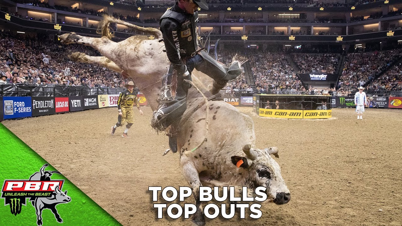 The Top Outs From The Top Five Bulls in The World | 2020 - YouTube