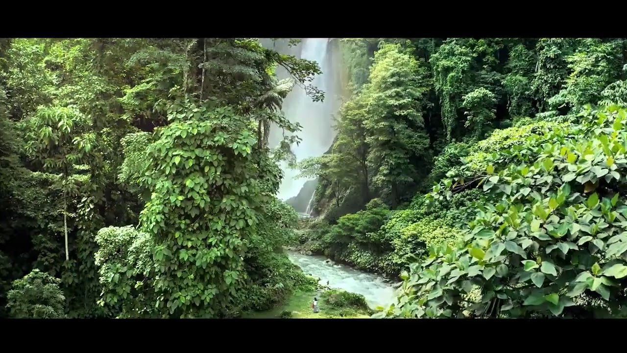 AVP Sample for CVAP - YouTube