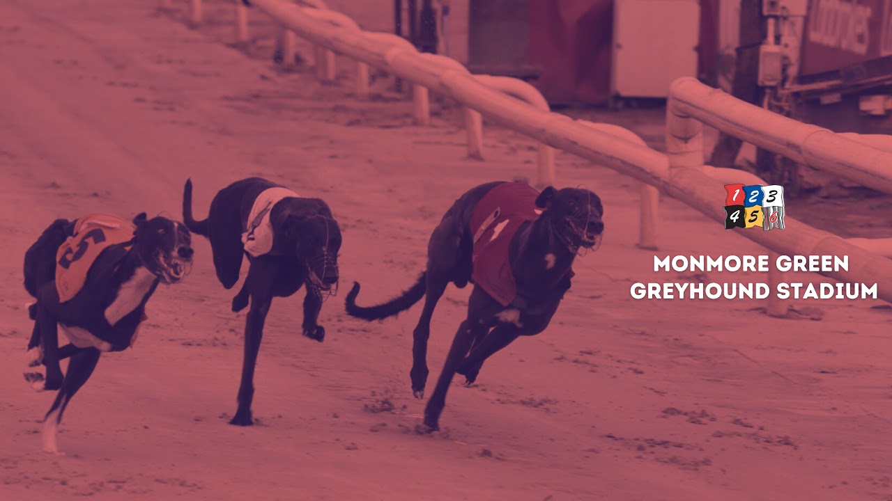 Monmore Green Stadium Live Trials - YouTube