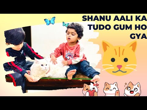 Shanu or aali ka tudo 🐱 gum ho gya 😱