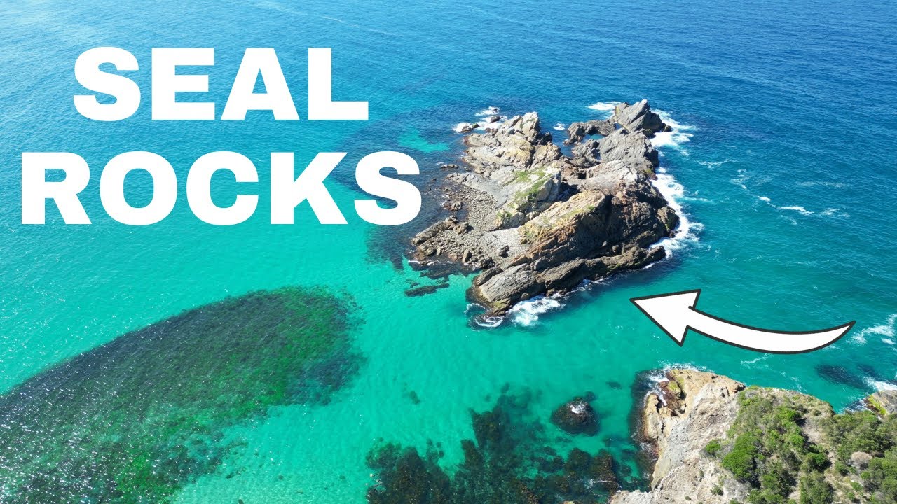 INSANE SPEARFISHING - Seal Rocks Expedition - YouTube