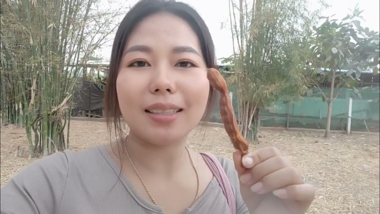 Neng Neng sawv los ncig tus niam ntsawm lub vaj qaib / Lub neej hmoob nyob thaib teb ep.129 ...