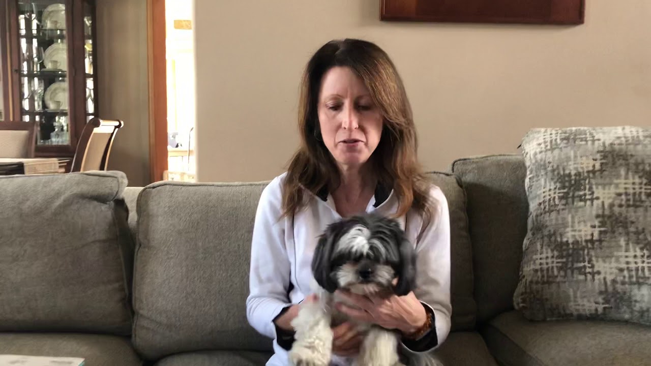 Mrs.Renee reads Moose on the Loose - YouTube