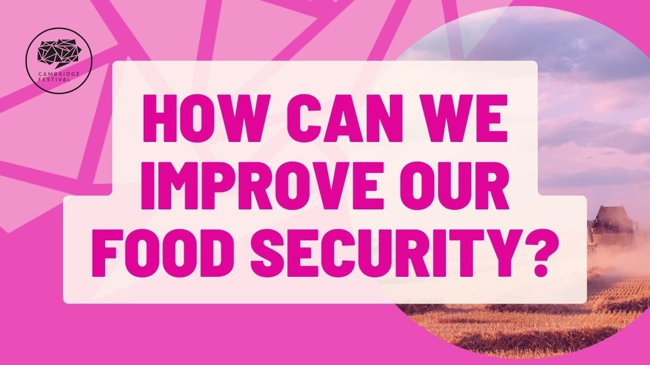 HOW CAN WE IMPROVE OUR FOOD SECURITY? - YouTube