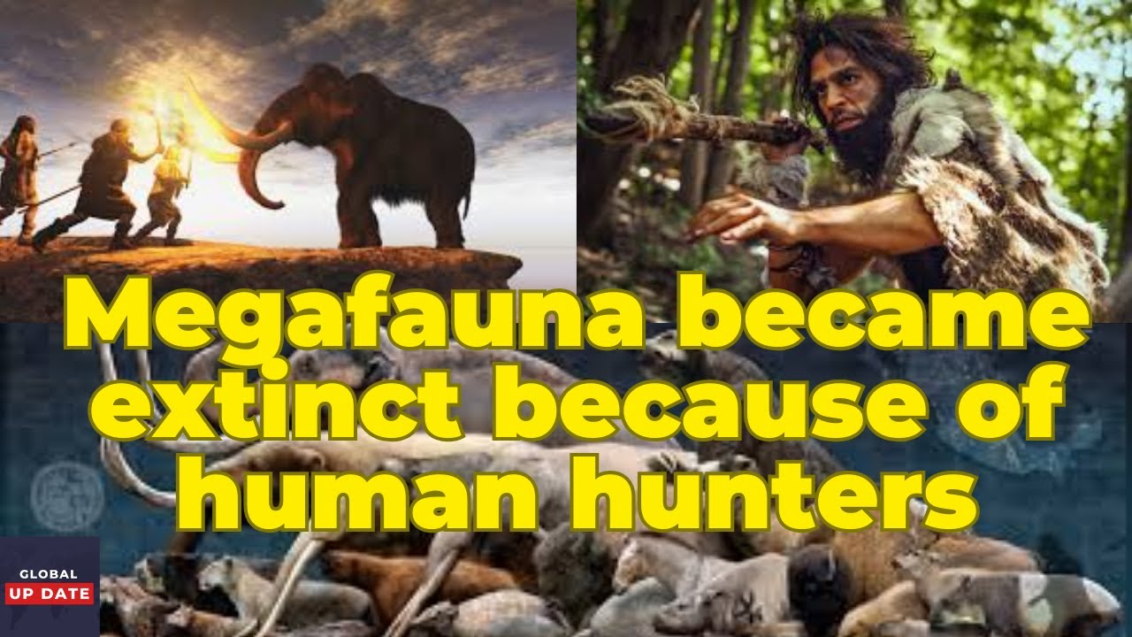 How Human Hunters Led to Megafauna Extinction | Study Reveals - YouTube