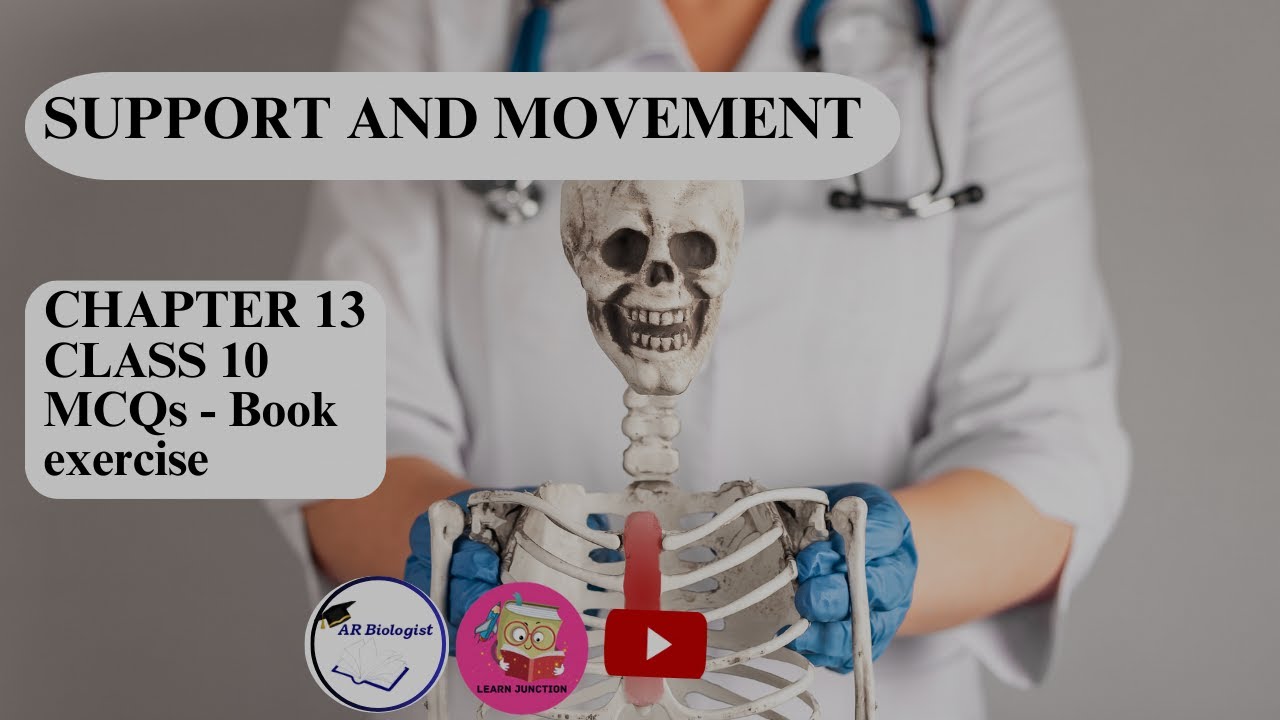 Support and movements |Biology MCQs| Chapter 13 | Class 10| Book ...