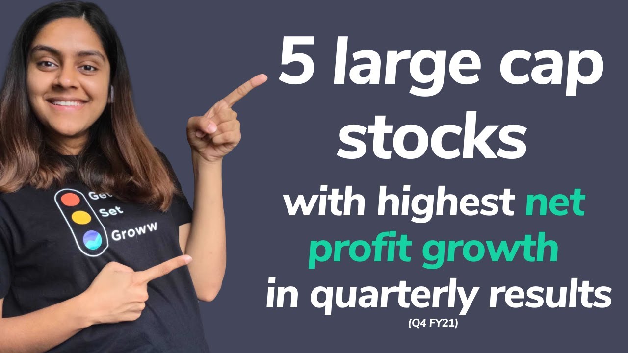 5 large cap stocks with highest net profit growth in quarterly results ...