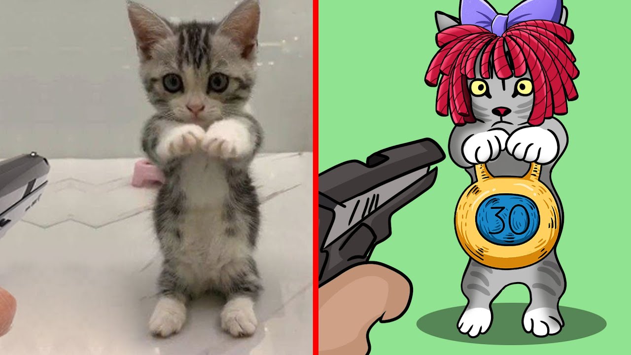 😂Cat Meme: THE AMAZING DIGITAL CIRCUS CAT 🐱 Trending Funny Animals 2024 ...