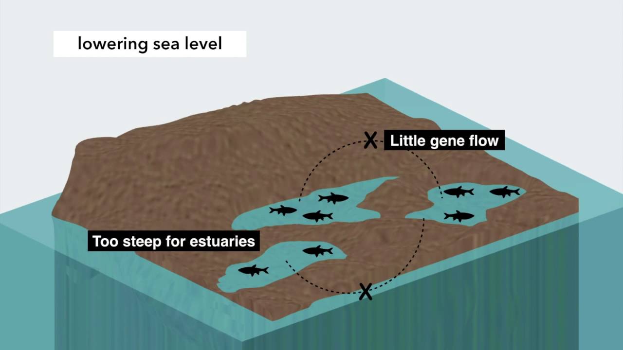 Coastal project animation - YouTube