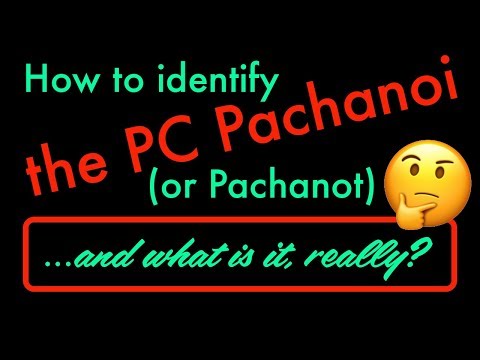 How to identify the PC Pachanoi (Pachanot)... and  is it really a San Pedro cactus?