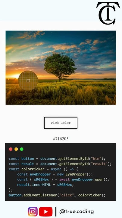 Color Picker | Color Picker Using JavaScript.| true.coding | #coding #html #css #javascript # ...