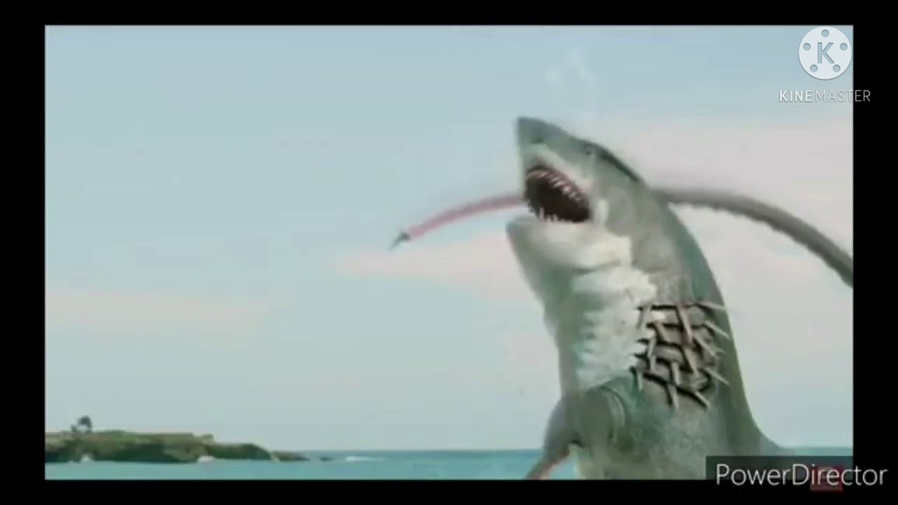 shark nom nom nom 1 hour - YouTube