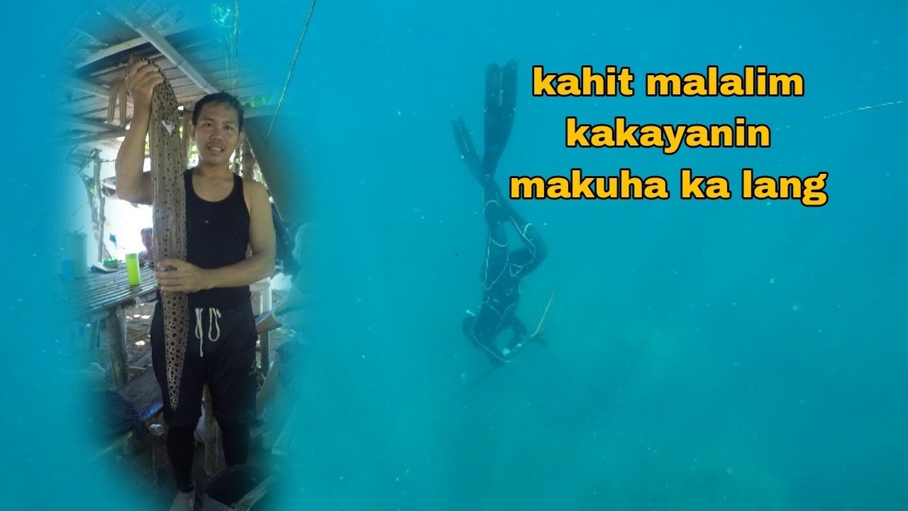 Grabe kalaking isdang ahas|#spearfishingphilippines - YouTube
