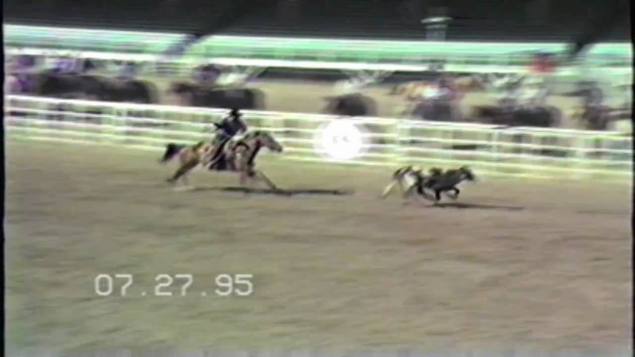 Rodeo - Cheyenne Senior Steer Roping - 1995 Part 1 - YouTube