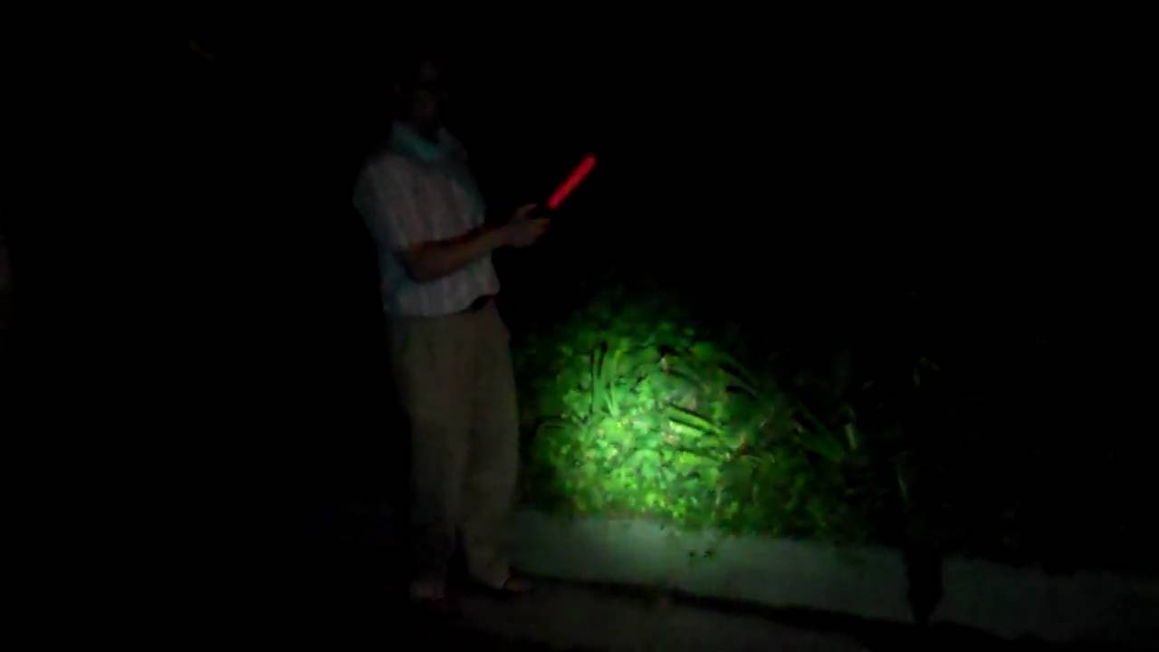 Traffic baton with reflective - YouTube